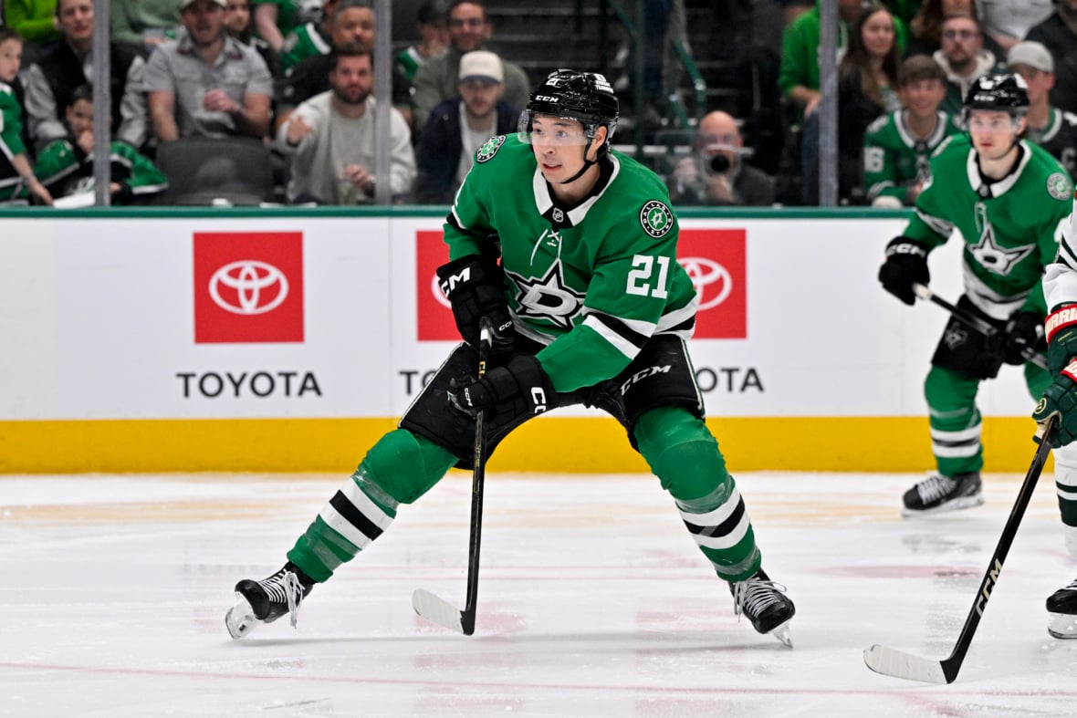 Dallas Stars News & Analysis | Dallas Hockey Now